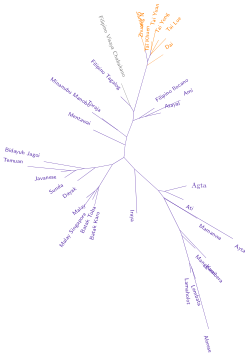 K11 Austro-Tai.profile tree
