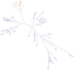 K12 Austro-Tai.profile tree
