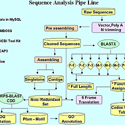 EST analysis overview