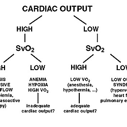 Interpretation of cardiac output according to mixed venous oxygen ...