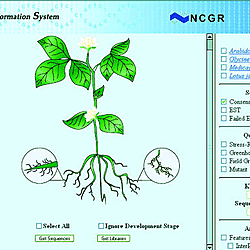 Clickable plant user interface
