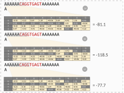 A diagram of the scanning process.pptx