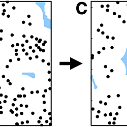 The 2CP circle model captures the initial stages of convective self-aggregation.