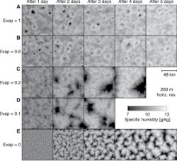 The onset of convective self-aggregation