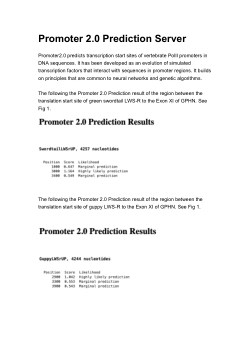 The result of Promoter Prediction