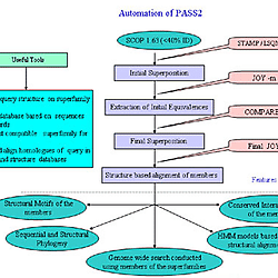 Flowchart representation of the steps involved in the curation of PASS2 ...