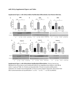 miR-338 Supplemental Figures_AJP_Revision.docx