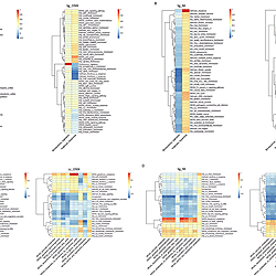 scRNA-seq for mouse orchitic testes and normal adult testes