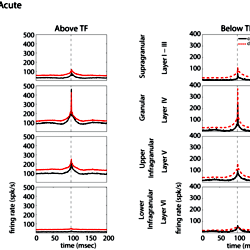 Supplemental Material S6