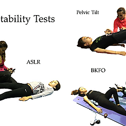 Supplementary materials. Core Stability tests