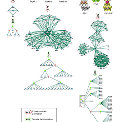 Three examples of modular decomposition of protein-protein interaction ...