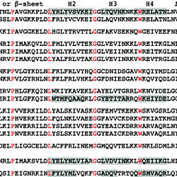 Alignment of human ARID sequences
