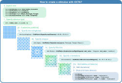 Tutorial on how to create a stimulus in OCTA