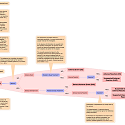 Item - Safety Reporting Flowchart: AE, SAE, SSAR, SUSAR - figshare ...