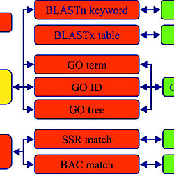 Work flow schematic diagram illustrating the multiple forms of data ...