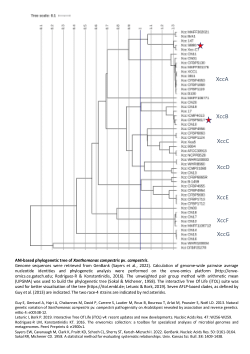 ANI-based phylogenetic tree of Xanthomonas campestris pv. campestris