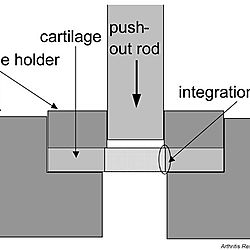 Schematic representation of the push-out setup