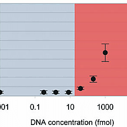 The detection limit of this assay is within the fmol concentration of ...