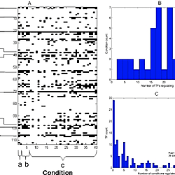 () A matrix depicting EC of each TF in each condition