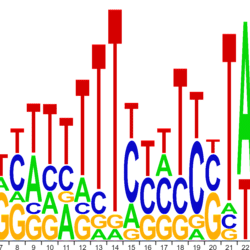 Sequence Logo application