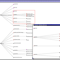 The selection area in the main window is redrawn in a sub-window ...
