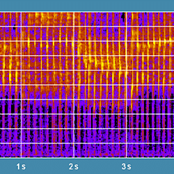 Spectrogram analysis in respective bird sound