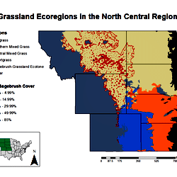 NC CASC Ecoregion