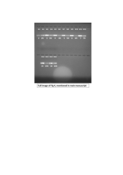 supporting data.docx