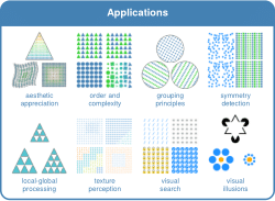 Applications of OCTA