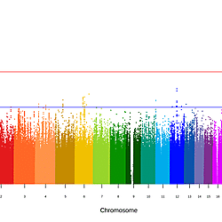 Fully automatic landmarking of 2D photographs identifies novel genetic ...