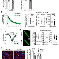 Supplemental FigS1.tif