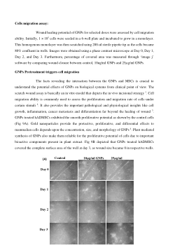 Cell migration assay