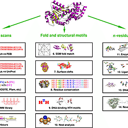 Schematic diagram showing the different methods, both sequence- and structure-based, that are ...