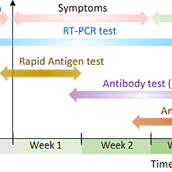 Suitability of different types of in vitro diagnostic tests during the ...