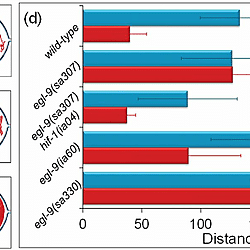 Automated Tracking of Worms in Microfluidic Chambers