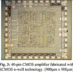 Low Noise CMOS Amplifier for Ion Channel Currents