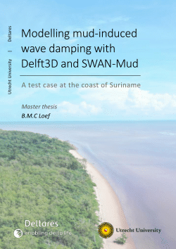 Modelling mud-induced wave damping with Delft3D and SWAN-Mud. A test ...
