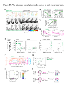 Individual figure files