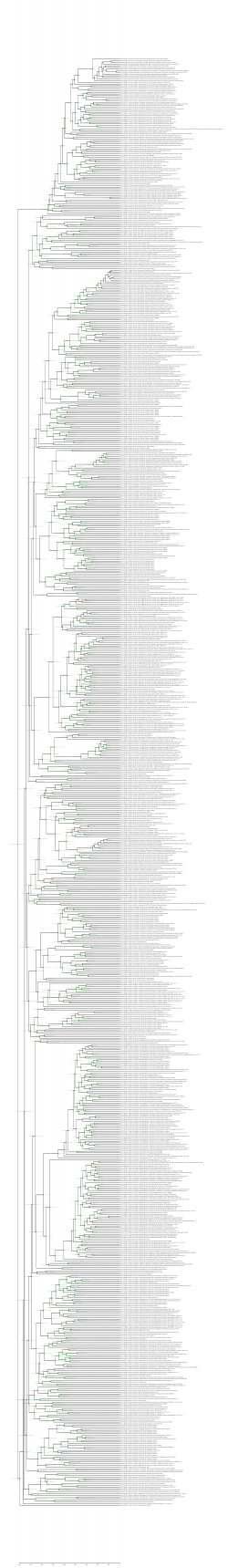 Chronogram figures and files