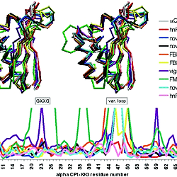 Comparison of KH domain structures