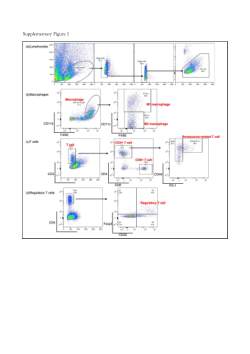 Supplementary materials AJPHCP final version R.pdf