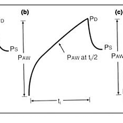 Calculation of work per liter of ventilation (Pavg) in a passive ...