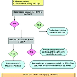 Proposed metabolic acidosis classification flow diagram based on the ...
