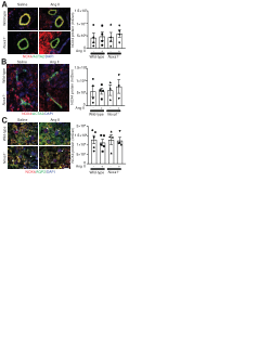 Supplemental Figure 1.pdf