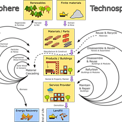 Butterfly Diagram of Circular Buildings