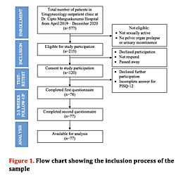 Figure 1. Flow chart showing the inclusion process of the sample