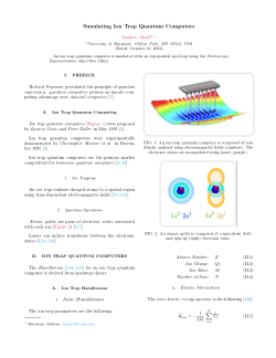 Simulating Ion Trap Quantum Computers
