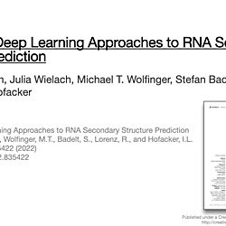 Overview of figures shown in: Caveats to Deep Learning Approaches to ...