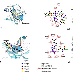 Visualization of Ligand Interactions with Protein Amino Acid Residues