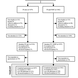 Flow chart of participation and response to the questionnaire on ...